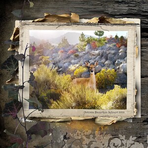 Vintage Scrapbook Digital Paper Pack, Scrapbook Papers, Printable ...