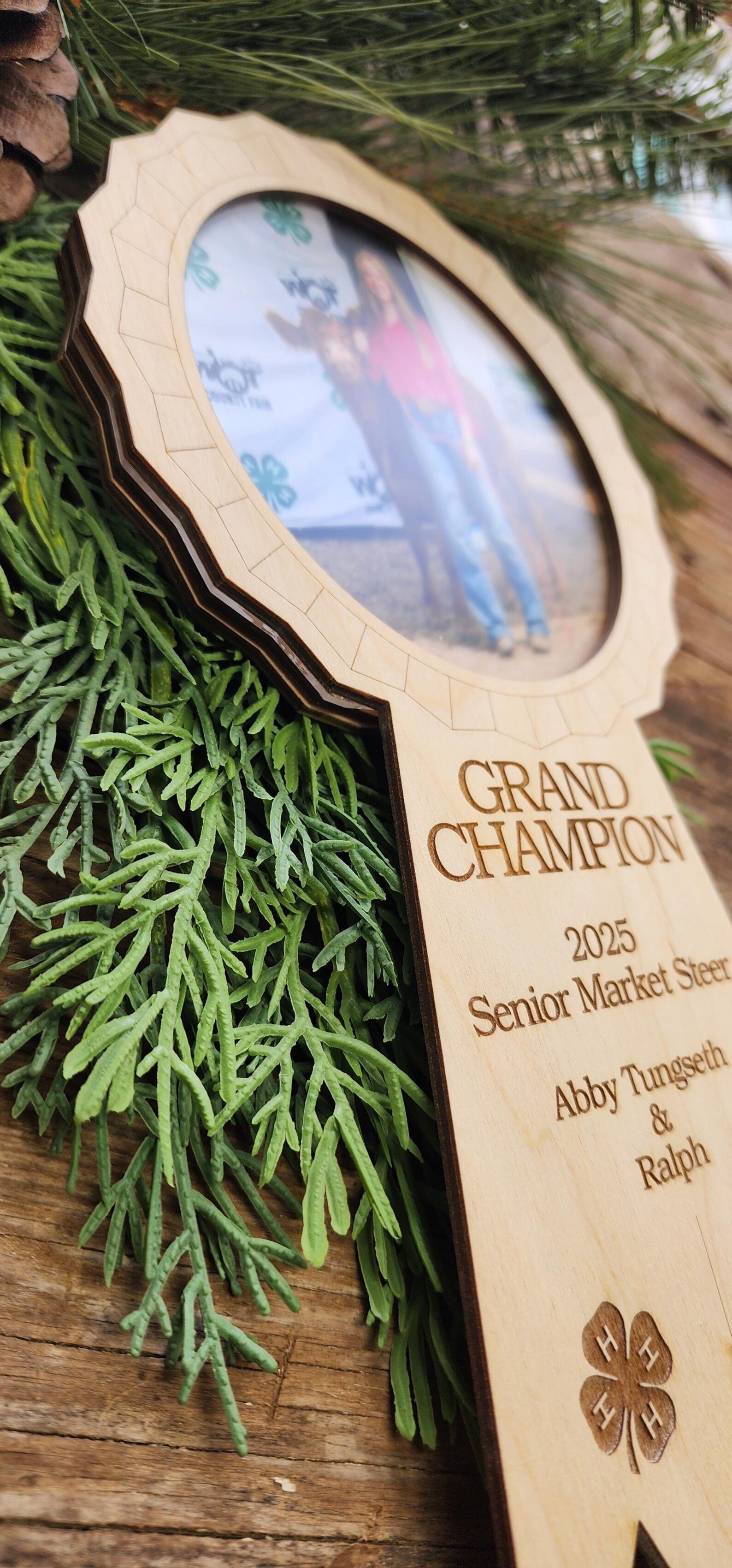 4-H, FFA Grand Champion Ribbon Picture Frame, Show Stock Thank You ...