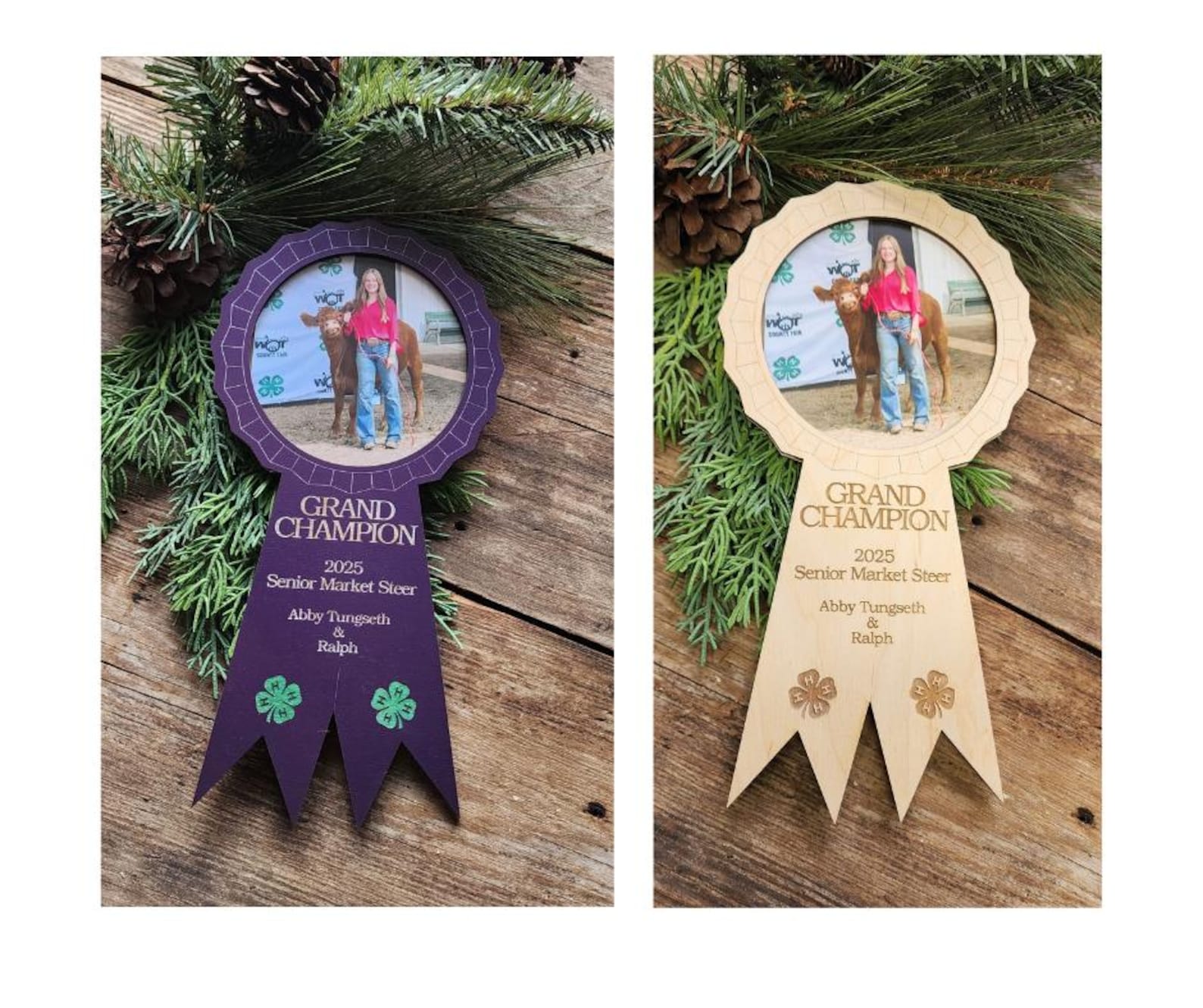 4-H, FFA Grand Champion Ribbon Picture Frame, Show Stock Thank You ...