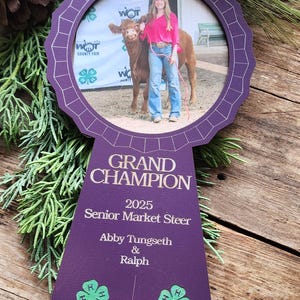 4-H, FFA Grand Champion Ribbon Picture Frame, Show Stock Thank You ...