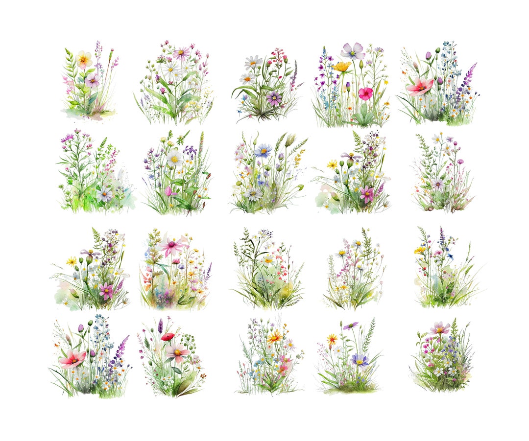 Watercolor Meadows Wildflowers 300dpi With Commercial License - Etsy