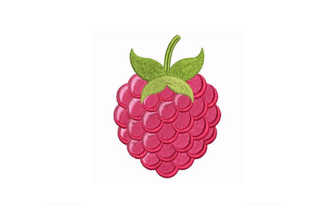 Raspberry Embroidery Design - Etsy