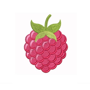 Raspberry Embroidery Design - Etsy