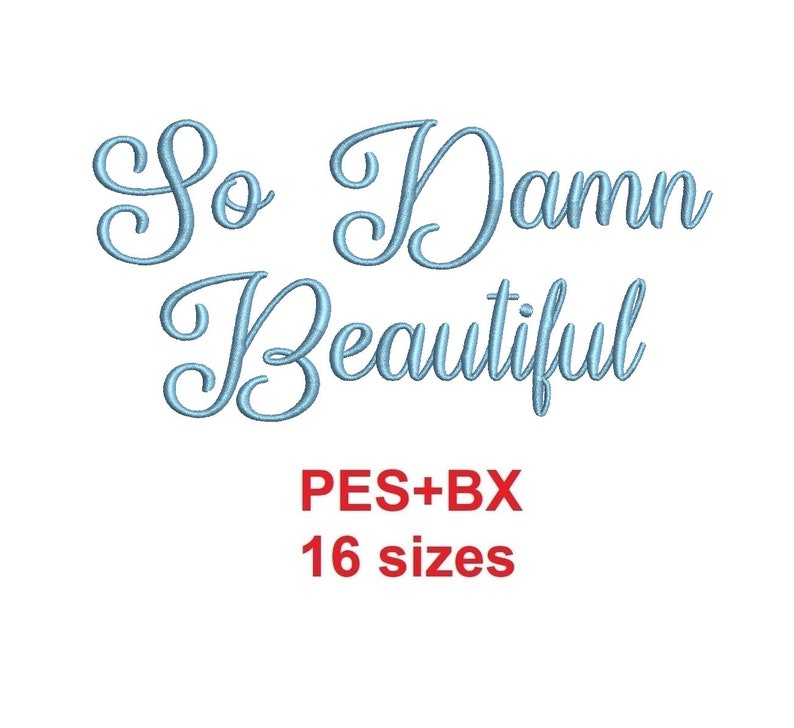 So Damn Beautiful Script Embroidery Font Formats PES+BX 16 Sizes French ...