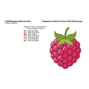 Raspberry Embroidery Design - Etsy