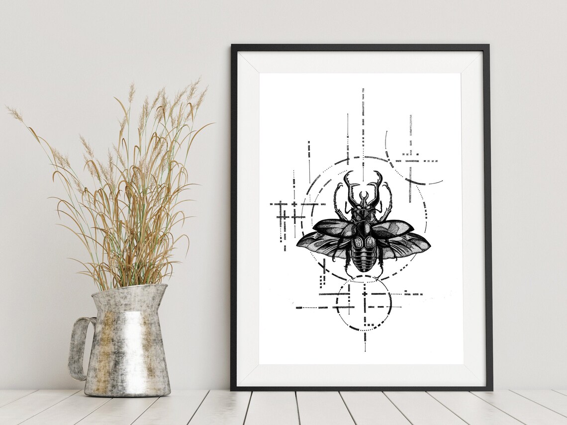 Stag Beetle Illustration Framed Paper Poster Wall Decor - Etsy