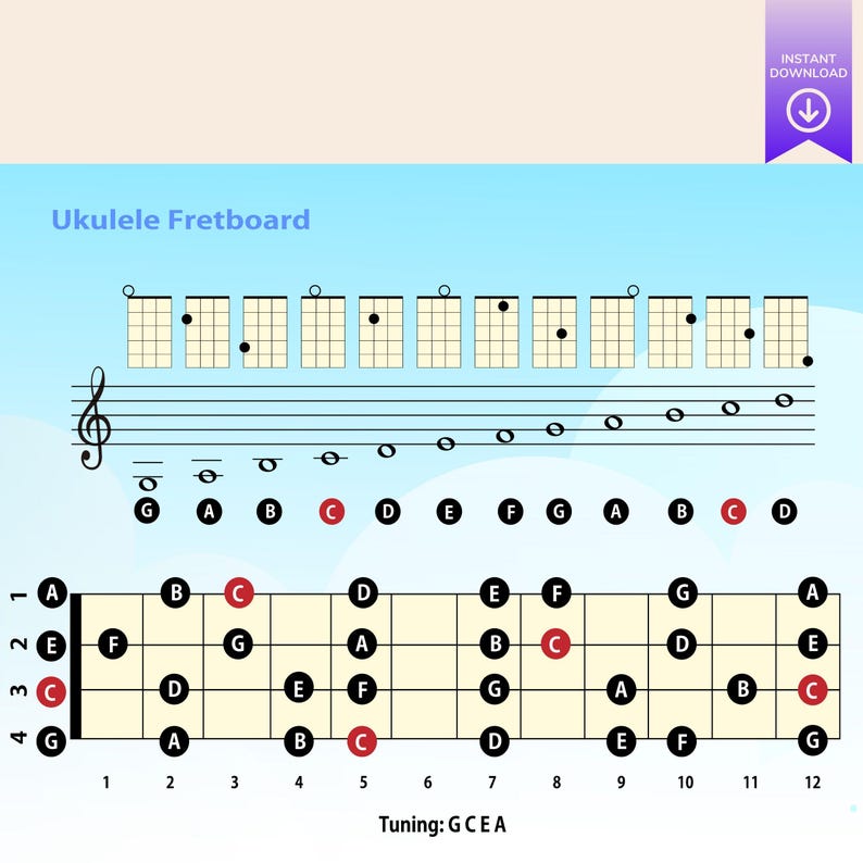 Ukulele Fretboard Chart Notes Map Music Theory Poster for Beginners ...