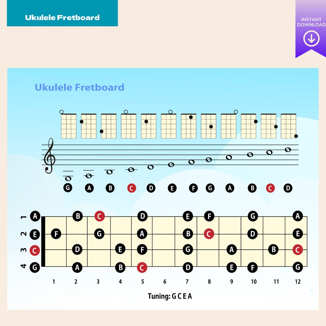 Ukulele Fretboard Chart Notes Map Music Theory Poster for Beginners ...