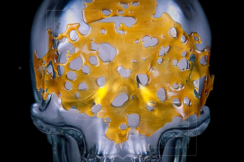 Shatter Poster Skull Art Print Dab Art Wrapped Canvas - Etsy Canada