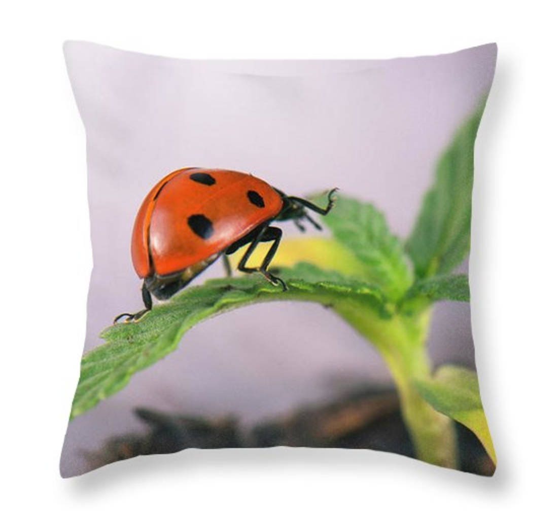 Almohada ladybug almohada de cannabis decoración 420 - Etsy España