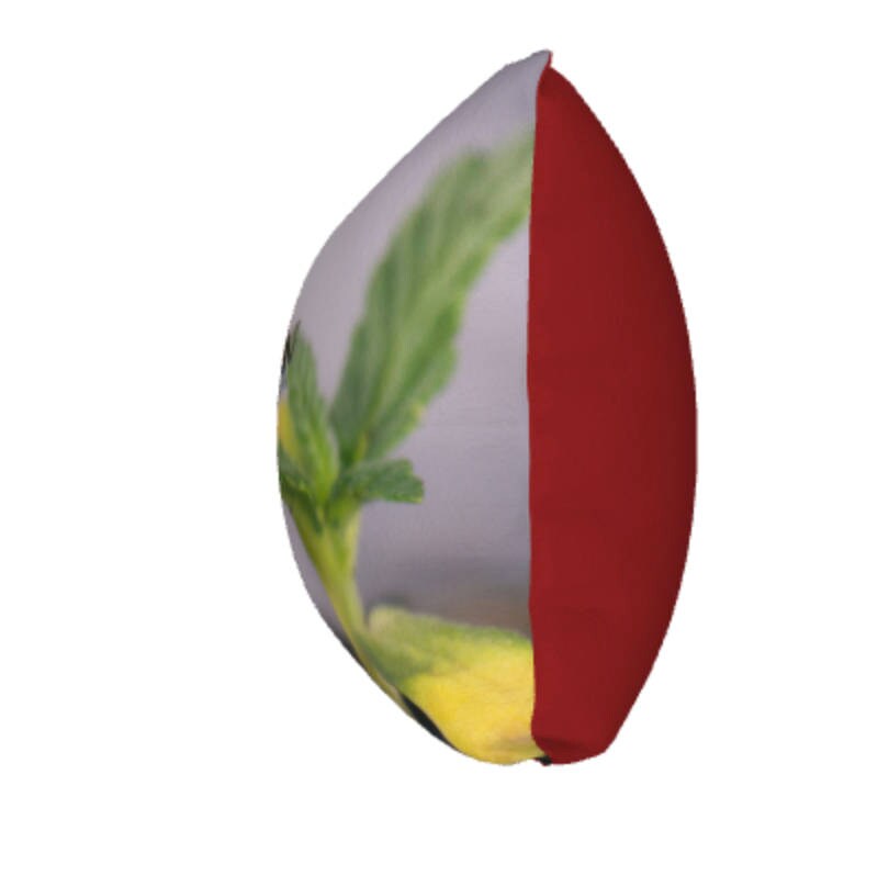 Almohada ladybug almohada de cannabis decoración 420 - Etsy España