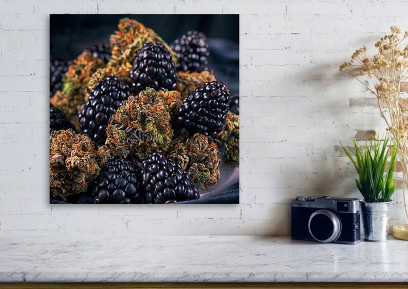 Cannabis Art, Stoner Gifts, Weed Art, 420 Decor, Fine Art, Cannabis ...