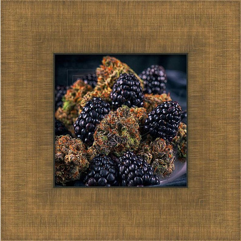 Cannabis Art, Stoner Gifts, Weed Art, 420 Decor, Fine Art, Cannabis ...