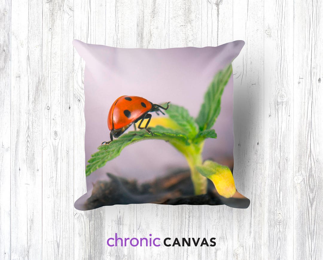 Almohada ladybug, almohada de cannabis, decoración 420, decoración del ...