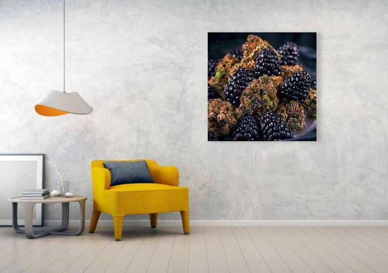 Cannabis Art, Stoner Gifts, Weed Art, 420 Decor, Fine Art, Cannabis ...