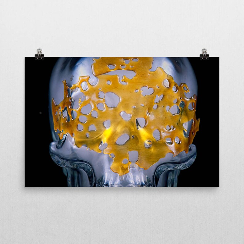 Shatter Poster Skull Art Print Dab Art Wrapped Canvas - Etsy Canada