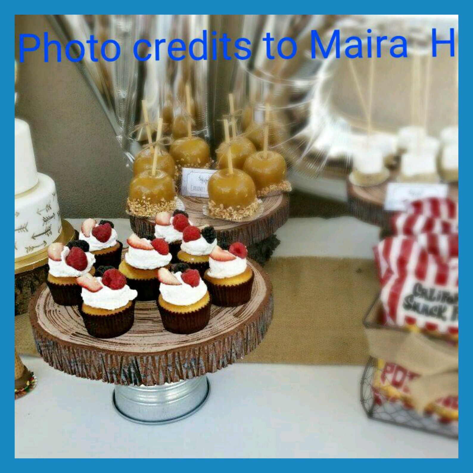 Wood Slices Tree Stumps Cake Display Cake Stand Cake | Etsy