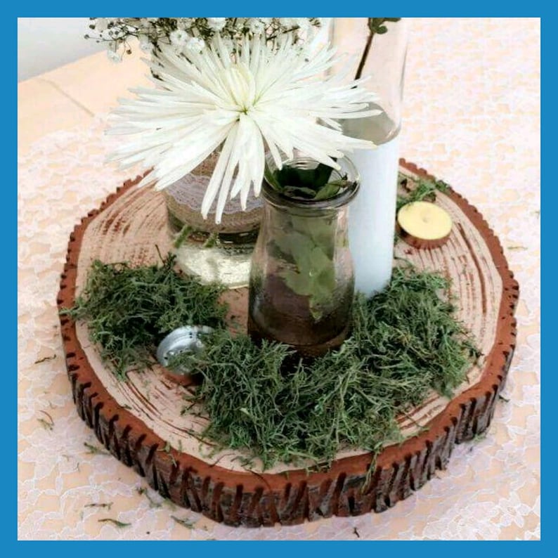 Wood Slices Tree Stumps Cake Display Cake Stand Cake | Etsy