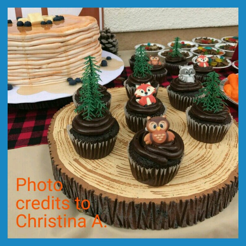 Wood Slices Tree Stumps Cake Display Cake Stand Cake | Etsy