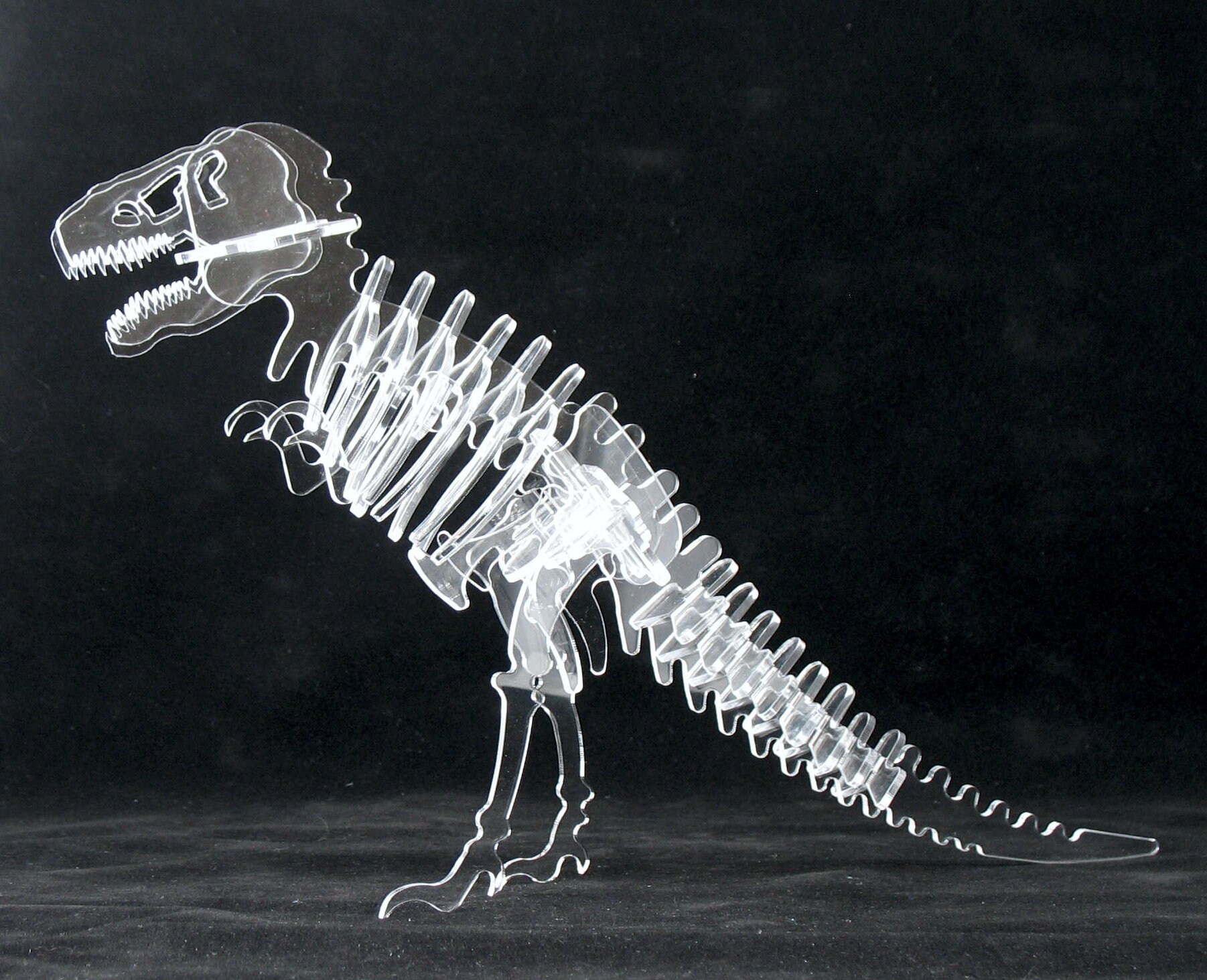 3-D Crystal Clear Tyrannosaurus Trex Dinosaur Skeleton Puzzle - Etsy