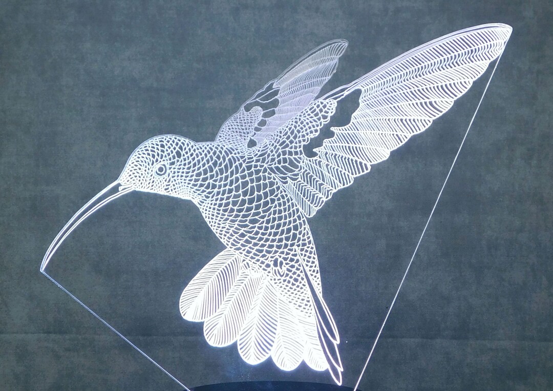 Hummingbird in Flight 3-D Optical Illusion Rectangle LED Lamp - Etsy