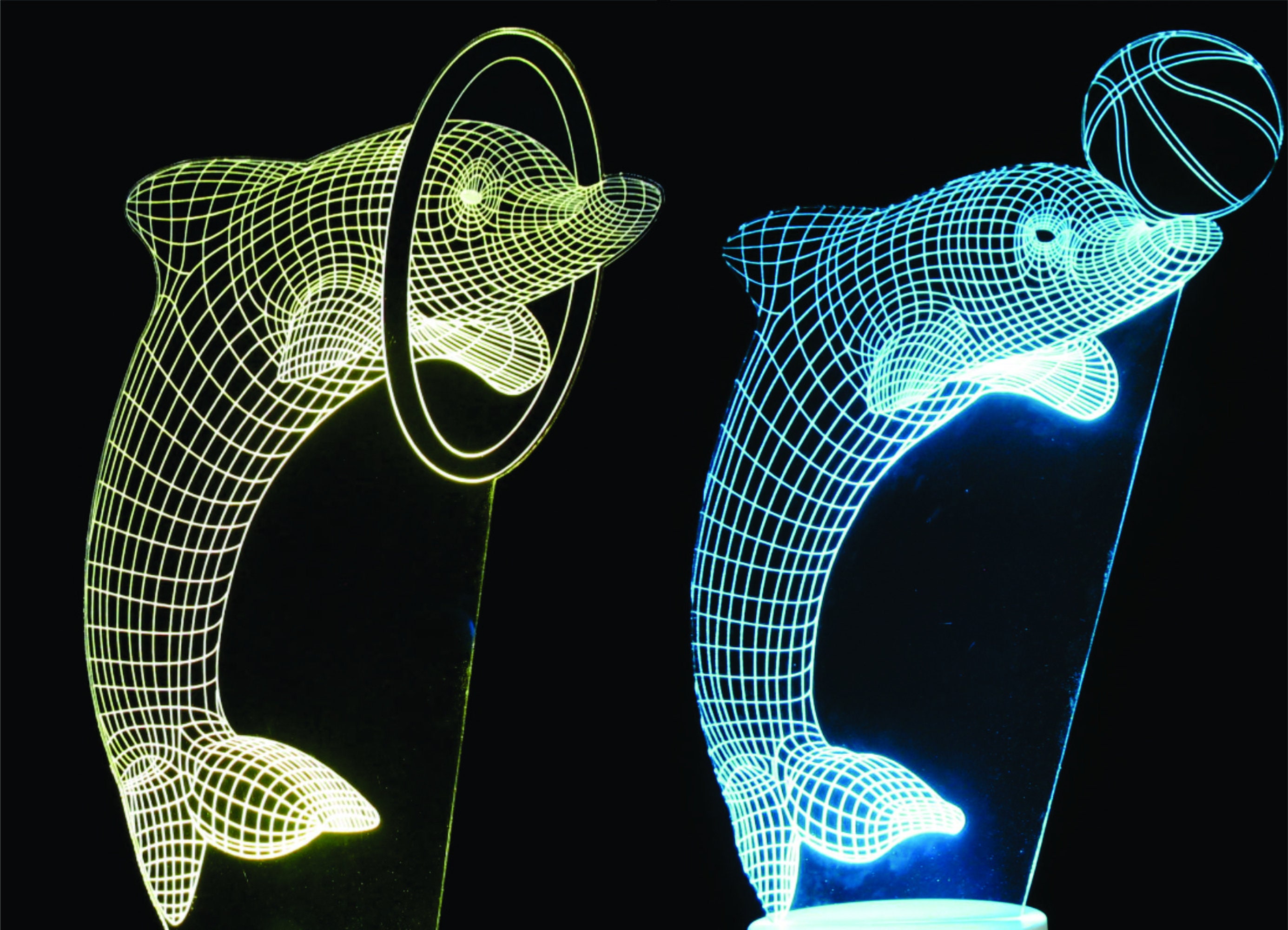 Optical Illusion Pictures Dolphins