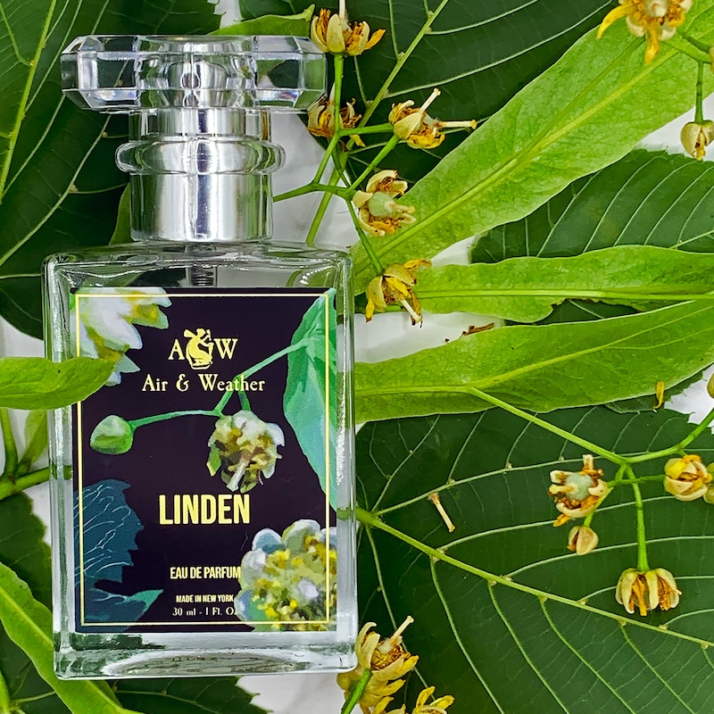 Linden Blossom Fragrance - Etsy