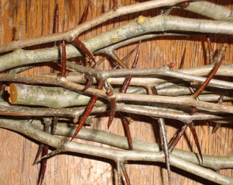 Hawthorn wood | Etsy