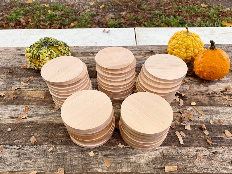 Blank wooden circles Set of 10 blanks Unfinished wood | Etsy