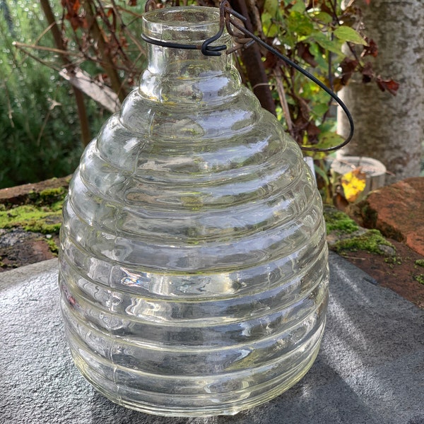 Antique Glass Fly Trap - Etsy Australia