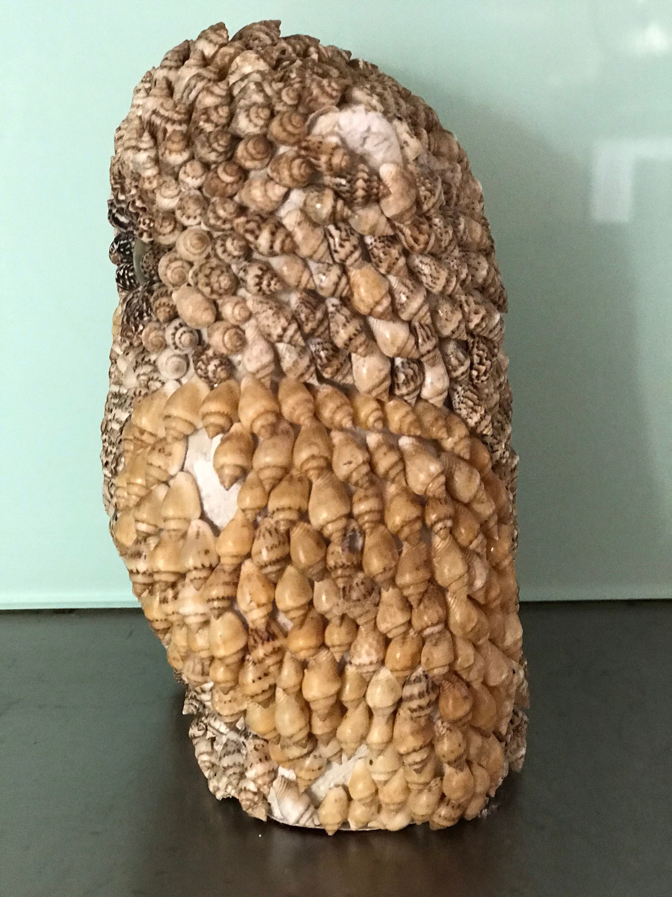 Tramp Art Owl in Shells | Etsy