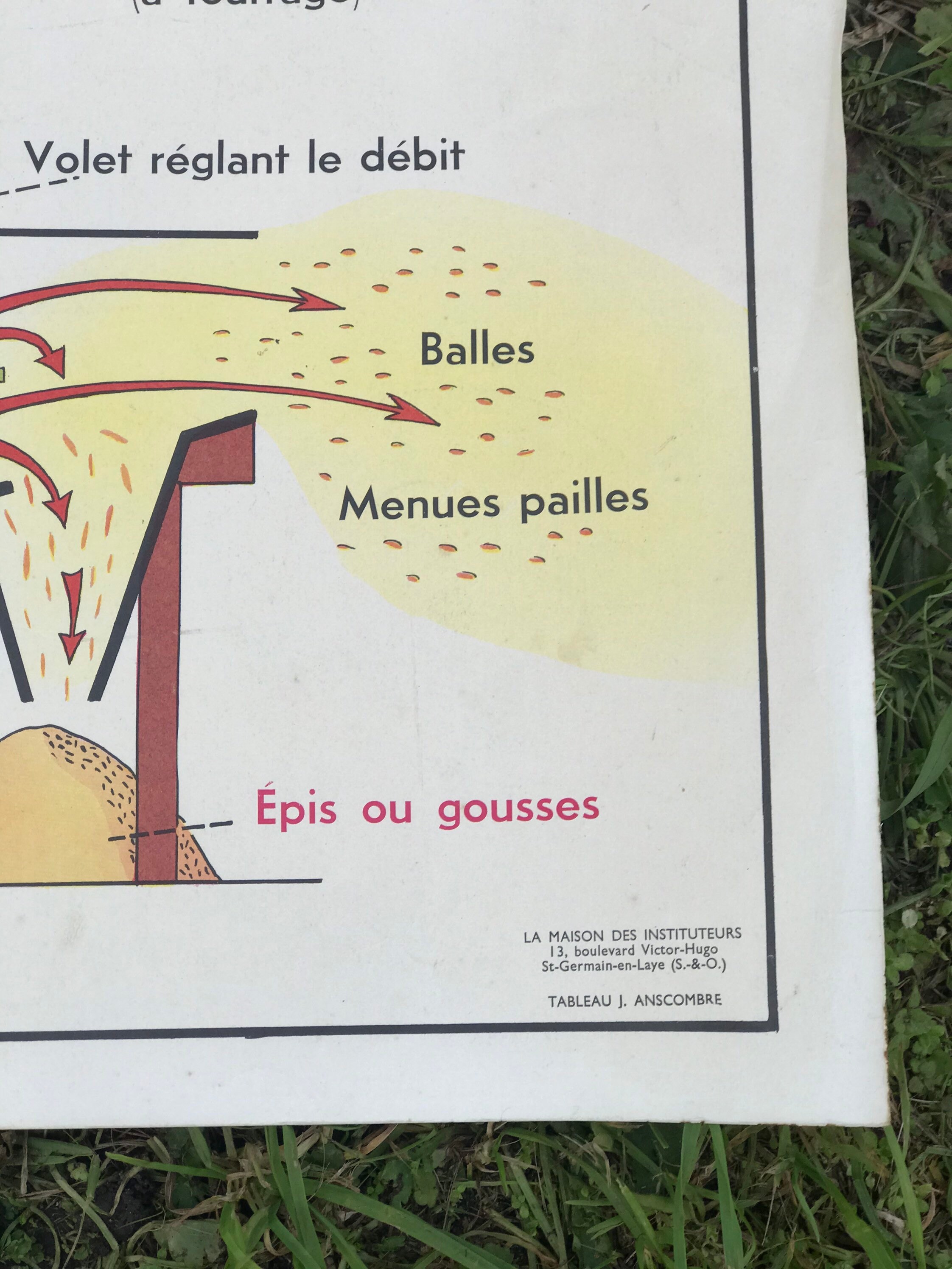 French School Poster Wall Chart French Educational Wall Art | Etsy UK