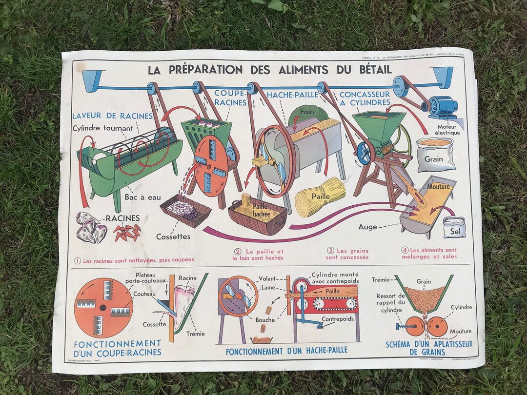 French School Poster Wall Chart, French Educational Wall Art - Etsy UK