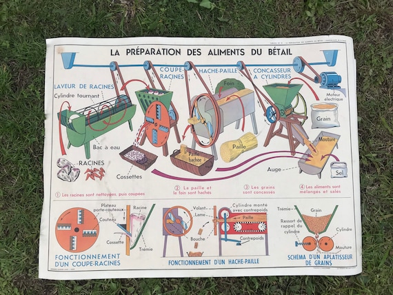 French School Poster Wall Chart French Educational Wall Art | Etsy UK