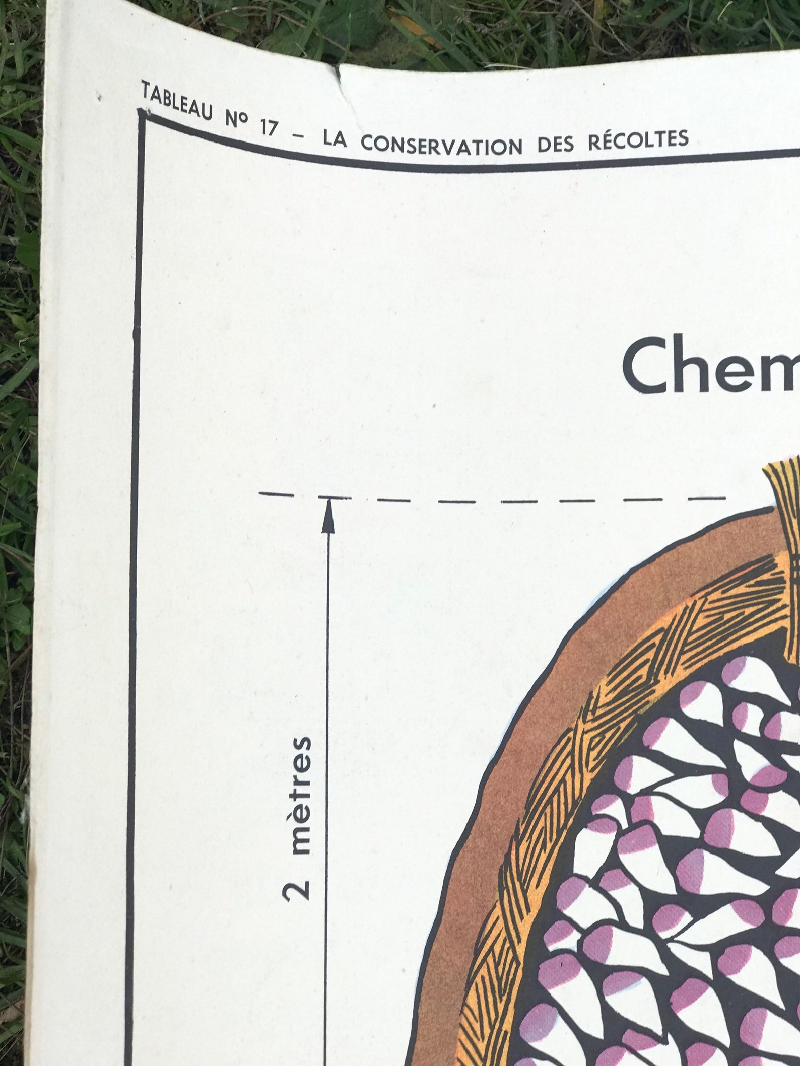 French School Poster Wall Chart French Educational Wall Art | Etsy UK