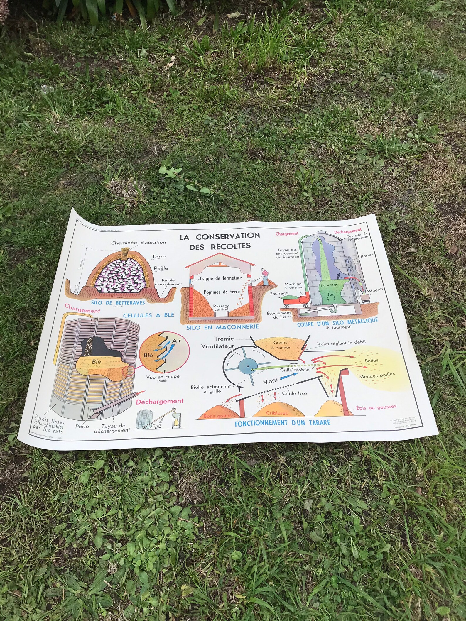 French School Poster Wall Chart French Educational Wall Art | Etsy UK