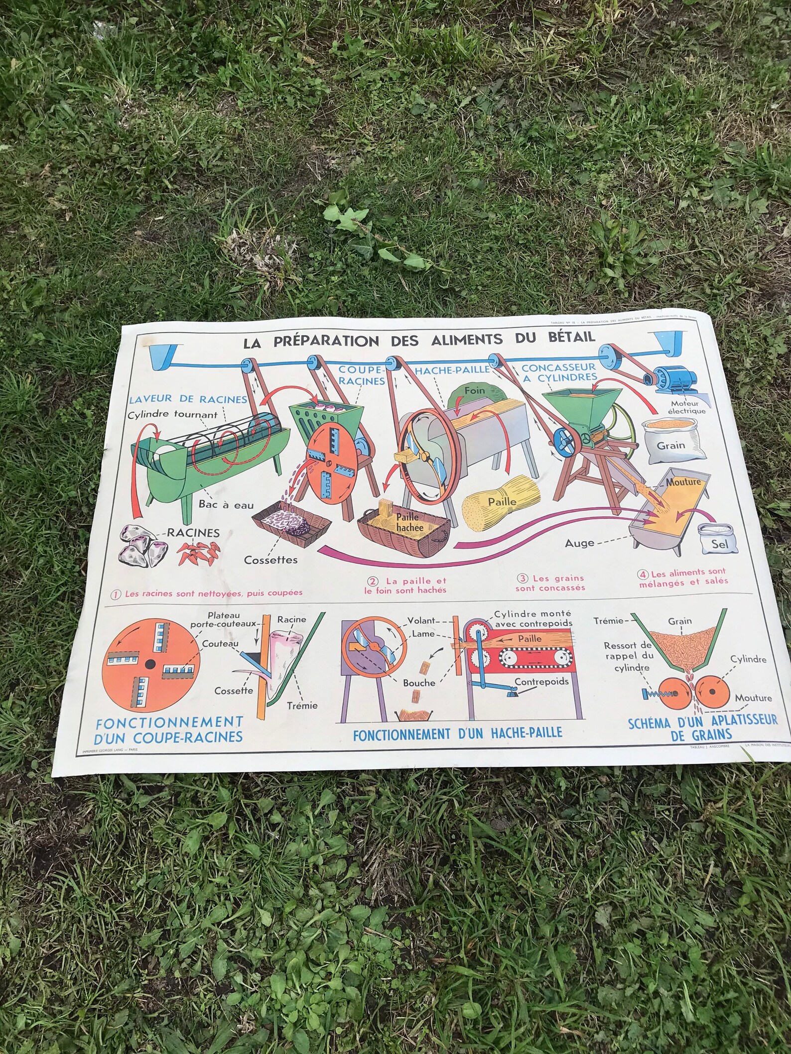 French School Poster Wall Chart French Educational Wall Art | Etsy UK