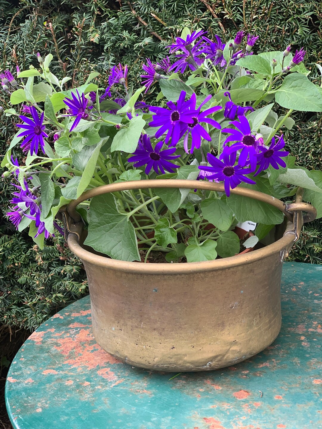 French Brass Copper Planter Bucket Pot Cauldron , Rustic Home Decor - Etsy