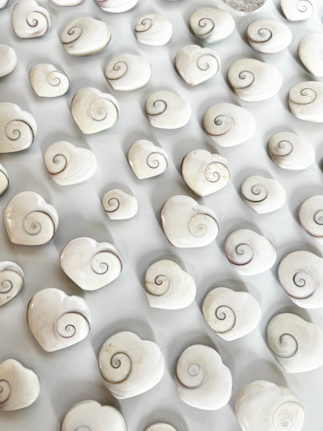 Shiva Heart Shells, Pastel Backs, Crystal Carving, Pocket Stone, Gifts ...