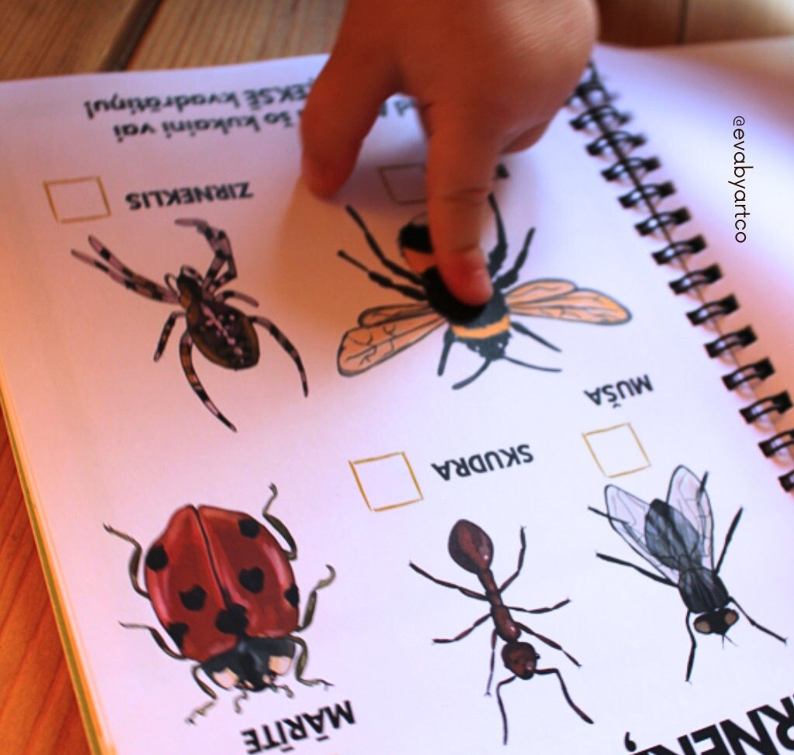 56 Page Nature Journal Homeschool, Seasonal Nature Study, Preschool ...