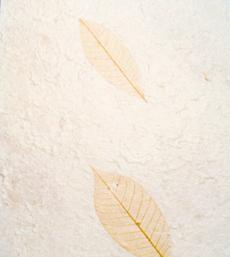 Mulberry Paper Handmade Paper Beautiful Handmade Paper With - Etsy