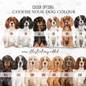 Personalised Cocker Spaniel Print, Springer Spaniel, Sprocker, Black ...