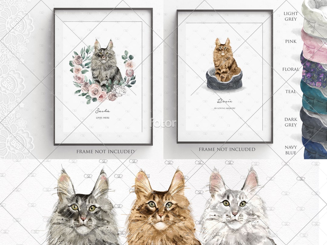 Personalised Maine Coon Print, Maine, Personalised Cat Illustration ...