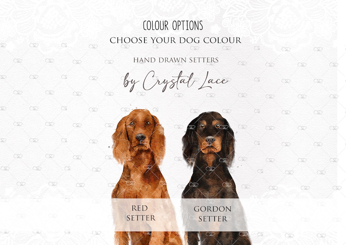 Personalised Red Setter Birthday Card, Gordon Setter Christmas Card ...