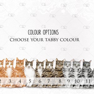 Personalised Tabby Cat Birthday Card, Silver Tabby, Ginger Tabby ...