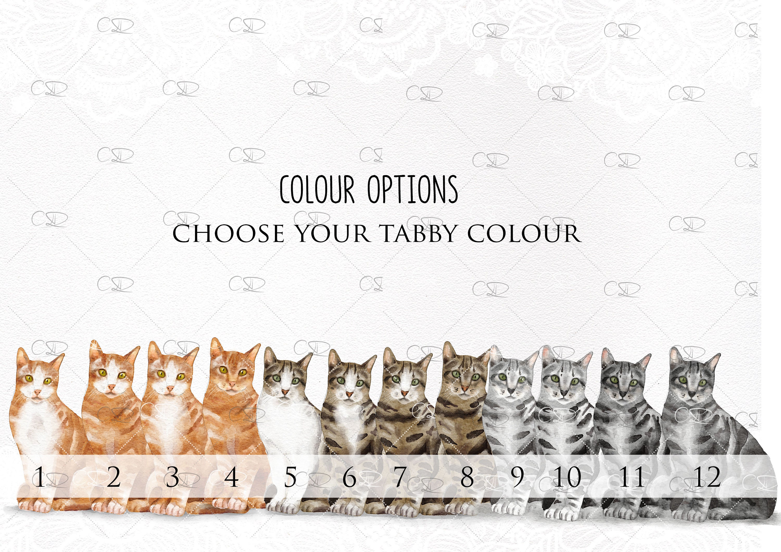 Personalised Tabby Cat Birthday Card Silver Tabby Ginger - Etsy UK