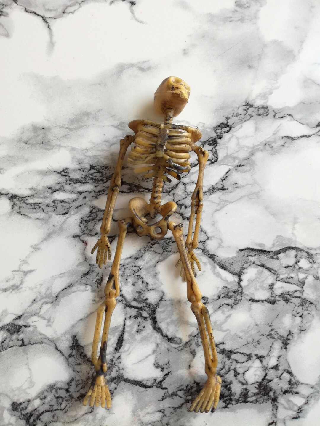 Halloween Skeleton House Miniatures 12th Scale Skeleton Decor Doctor ...