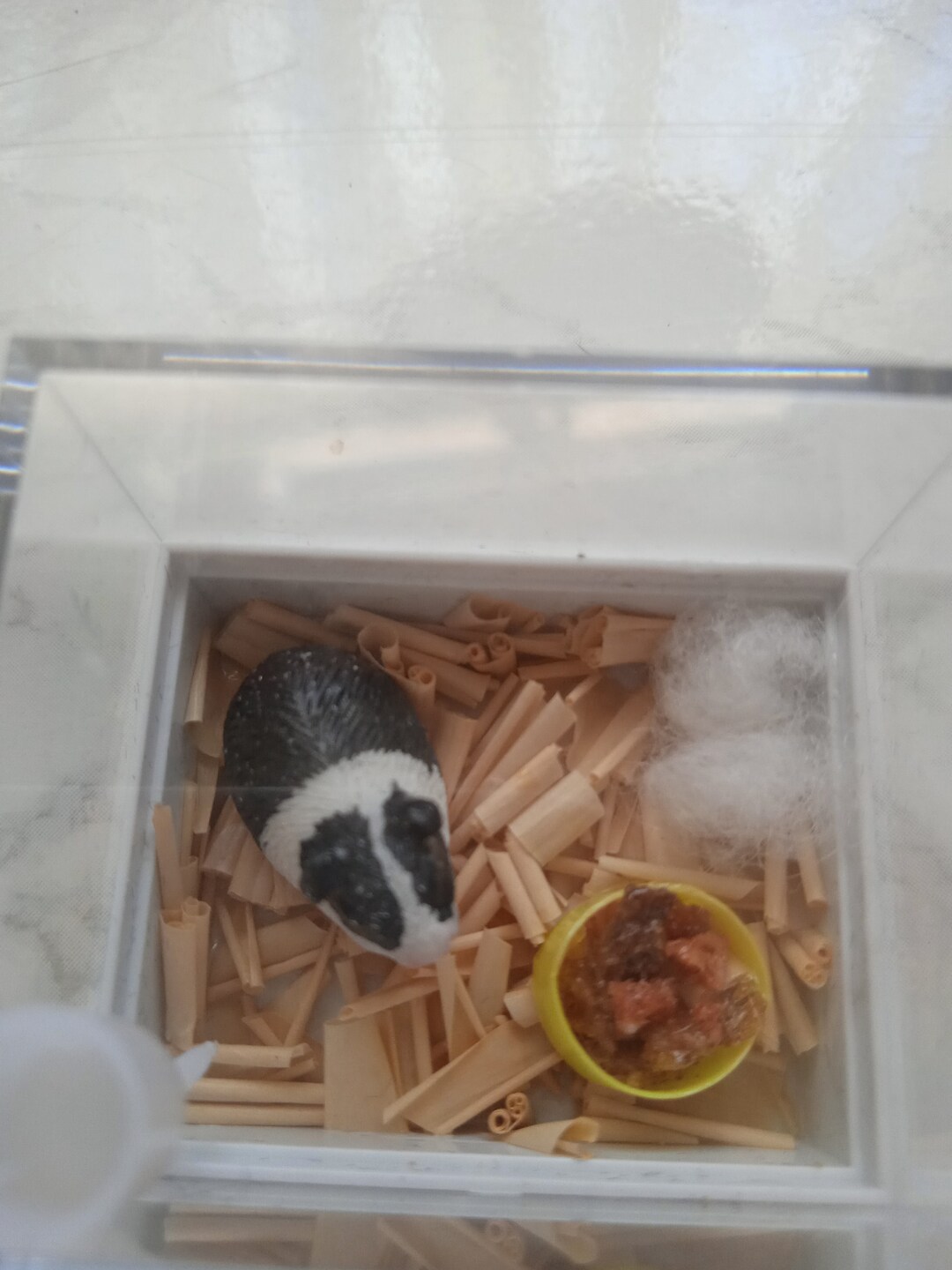 Handcrafted Hamster/guinea Pig Cage - 12th Scale Dolls House Miniature ...