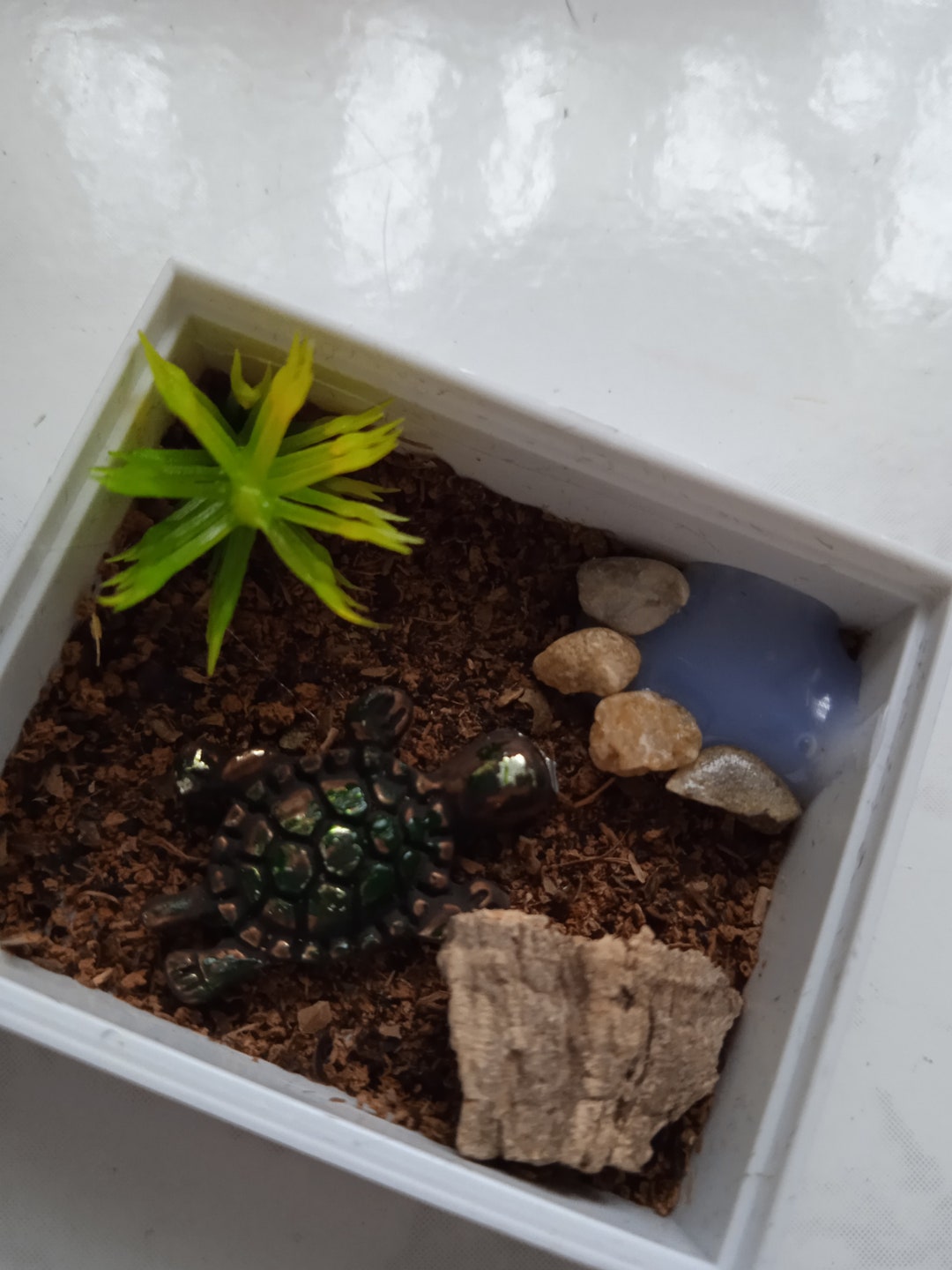 Dolls House Tortoise Pit Cage 12th Scale Miniatures Turtle 1:12th Scale ...