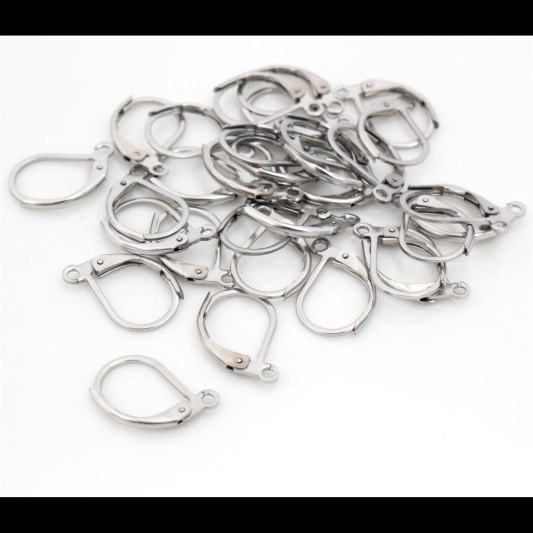 Stainless Steel Lever Back Ear Wires | 15x10mm | Pack of 30 (15 Pairs ...